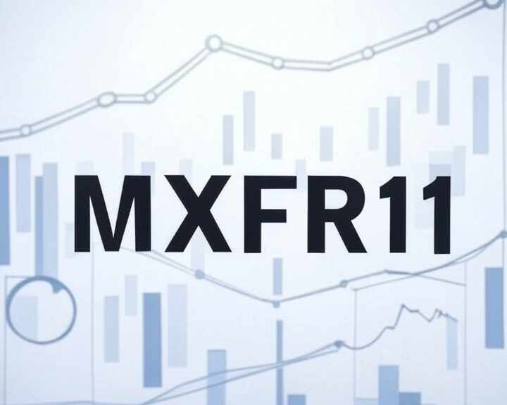 MXRF11 em foco: guia prático sobre estratégias e resultados para ...